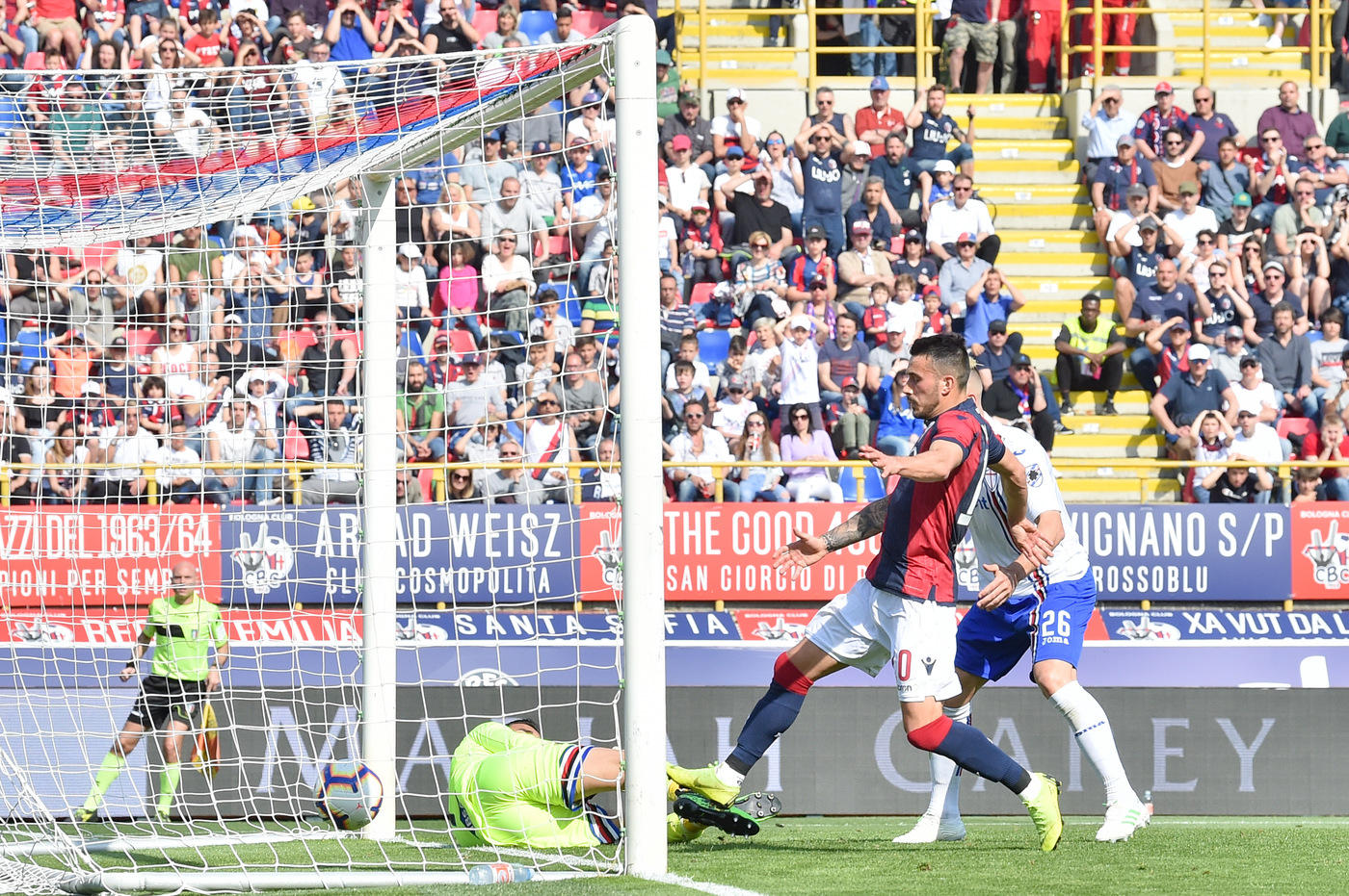 Bologna, tre gol alla Samp | Foto - Sportmediaset